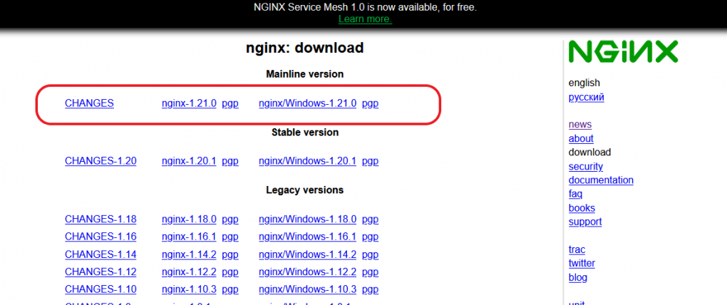 Installing nginx on Linux – Vuyisile Ndlovu